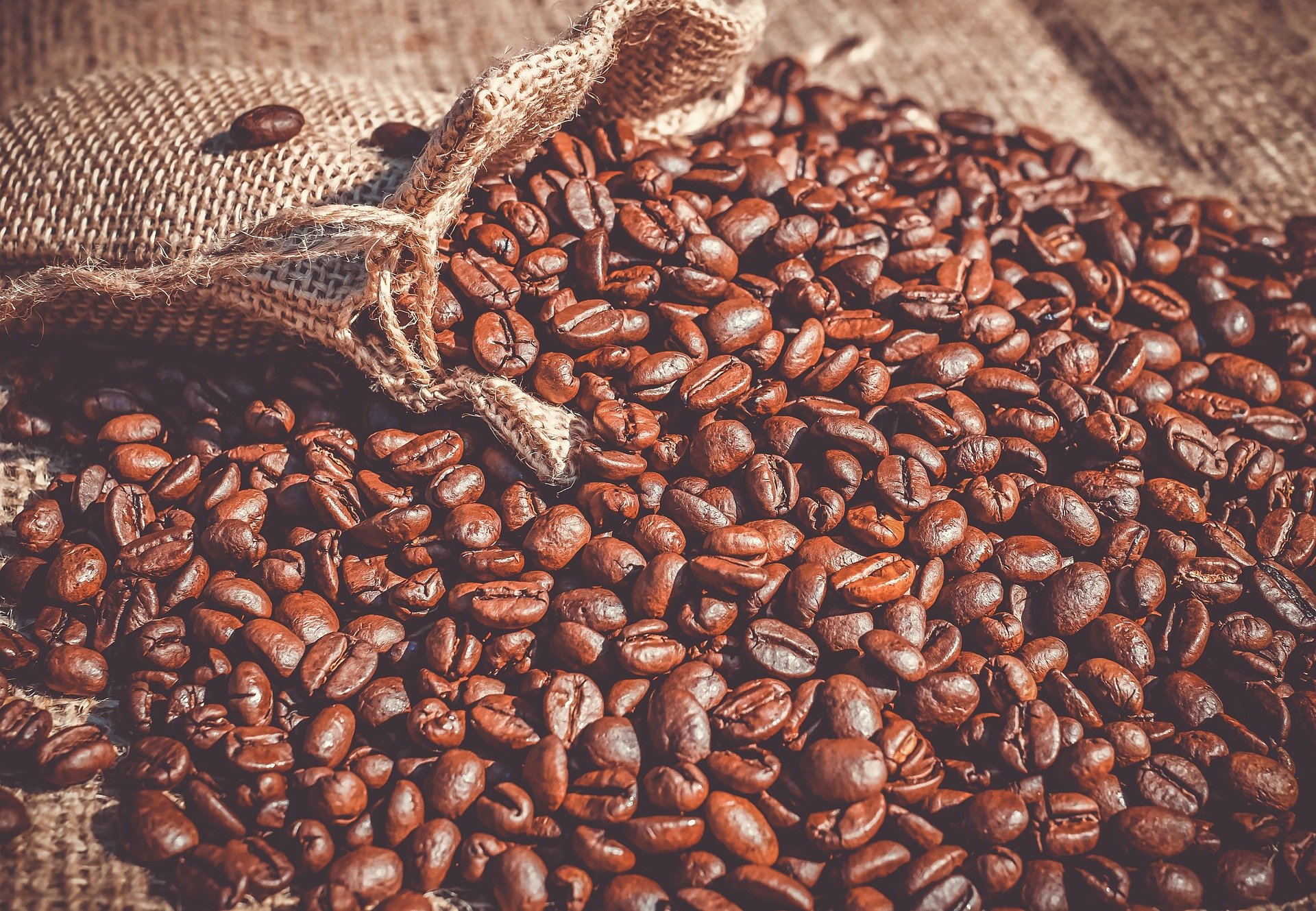 Découvrez l'histoire du café et ses origines - Webzoo